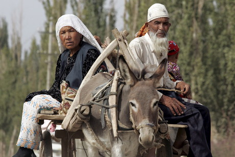 Islamic People Uigur Ethnic Group Ride Editorial Stock Photo - Stock ...