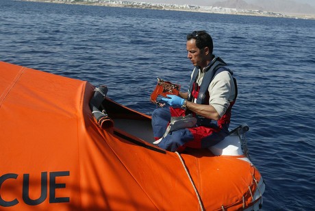 Egyptian Search Rescue Personnel Examines Piece Editorial Stock Photo ...