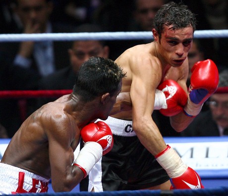 France Boxing - Dec 2005 Stock Pictures, Editorial Images and Stock ...