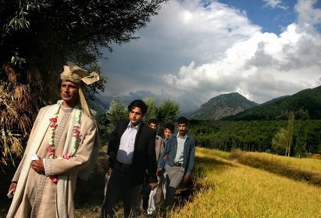 Kashmiri Groom Walks Through Rice Field Editorial Stock Photo - Stock ...