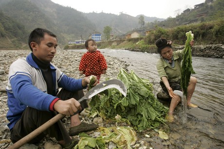 Family Peasant Farmers Wash Vegetables Bala Editorial Stock Photo ...