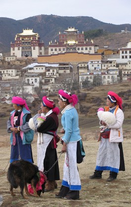 Local Tibetan Women Wait Sheep Dogs Editorial Stock Photo - Stock Image ...