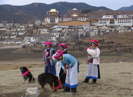 Local Tibetan Women Wait Sheep Dogs Editorial Stock Photo - Stock Image ...