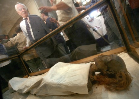 3 500 Yearold Mummy Sitrein Wet Editorial Stock Photo - Stock Image ...