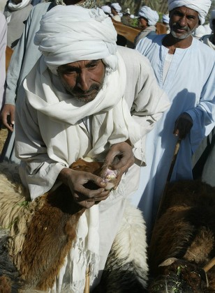 Egyptian Nubian Merchant Displays Teeth His Editorial Stock Photo ...