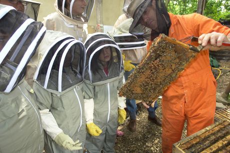 Model Released Children Get Demonstration Bee Editorial Stock Photo ...
