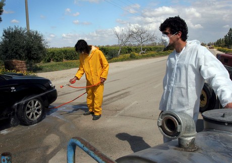 Israel Bird Flu - Mar 2006 Stock Pictures, Editorial Images and Stock ...