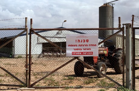 Israel Bird Flu - Mar 2006 Stock Pictures, Editorial Images and Stock ...