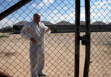Israel Bird Flu - Mar 2006 Stock Pictures, Editorial Images and Stock ...