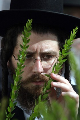 8 Moses hadas Stock Pictures, Editorial Images and Stock Photos ...