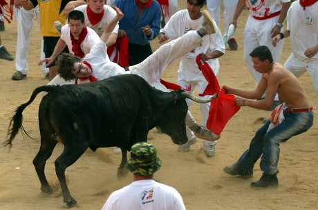 Bull Runner Caught Flipped By Wild Editorial Stock Photo - Stock Image ...