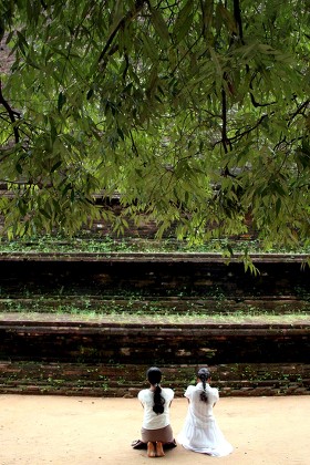 Sri Lankan Buddhist Devotees Pay Homage Editorial Stock Photo - Stock ...
