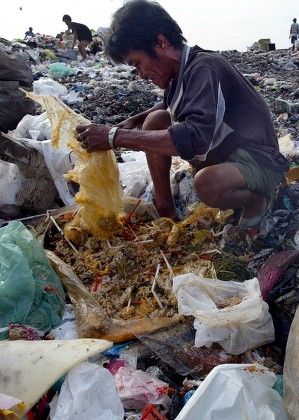 Filipino Garbage Food Scavenger Zaldy Casiano Editorial Stock Photo ...