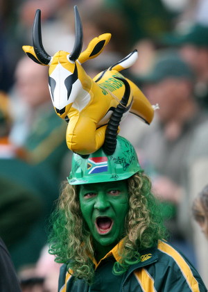 Springbok Fan Waits Kickoff Test Match Editorial Stock Photo - Stock ...
