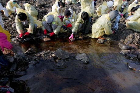 South Korean Volunteers Help Cleanup Oil Editorial Stock Photo - Stock ...