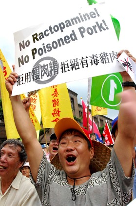 Taiwanese Pig Farmers Attend Protest Outside Editorial Stock Photo ...