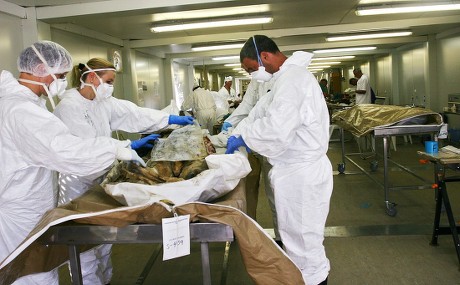 Disaster Victims Identification Dvi Team Members Editorial Stock Photo ...