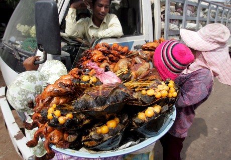 Cambodian Venders Sell Cooked Turtles Deepfried Editorial Stock Photo ...