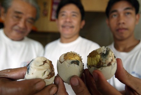 Filipino Balut Fertilised Egg Partially Developed Editorial Stock Photo ...