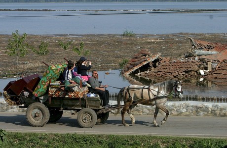 21 Improvised cart Stock Pictures, Editorial Images and Stock Photos ...