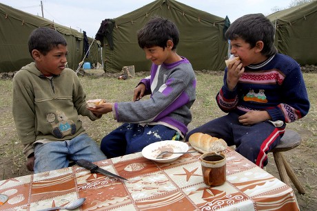 Romanian Refugee Boy Offers Sandwich Neighbour Editorial Stock Photo ...