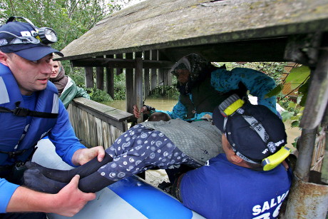 Romanian Elderly Peasant Woman Rescued Her Editorial Stock Photo ...