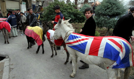 Protesters Brought Five Donkeys German British Editorial Stock Photo ...