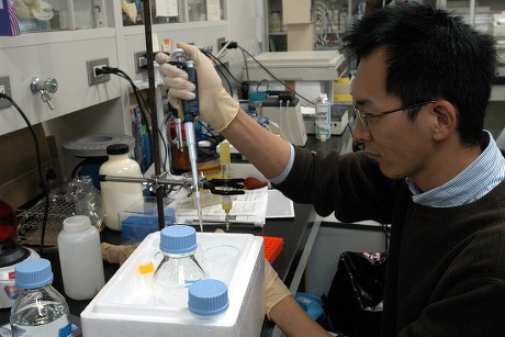 Researcher Experiments Dna Riken Yokohama Institute Editorial Stock ...