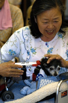 Old Woman Expresses Her Joy Meeting Editorial Stock Photo - Stock Image ...