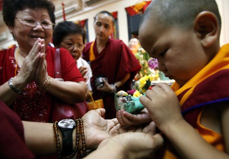 Fouryearold Nepalese Buddhist Monk Tenzin Phuntsok Editorial Stock ...