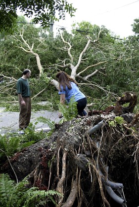 John Luc Inspects Damage His Fallen Editorial Stock Photo - Stock Image ...