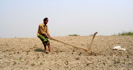 Indian Farmer Uses Plough His Dried Editorial Stock Photo - Stock Image ...