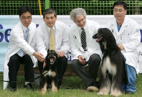 South Korean Stem Cell Researcher Hwang Editorial Stock Photo - Stock ...