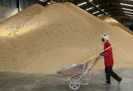 Thai Worker Pushes Cart Past Pile Editorial Stock Photo - Stock Image ...