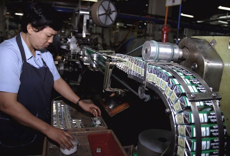 Thai Tobacco Factory Worker Thailands Tobacco Editorial Stock Photo ...