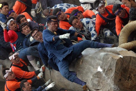 Japanese Men Cling Huge Fir Tree Editorial Stock Photo - Stock Image ...