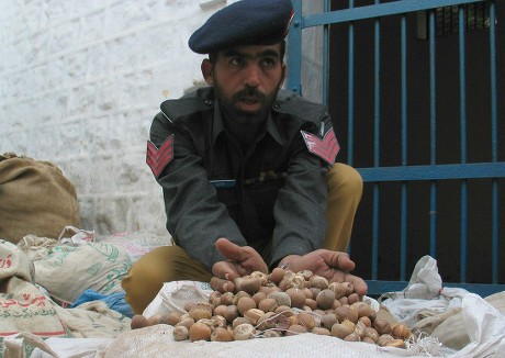 Pakistani Police Official Shows Seized Beatlenuts Editorial Stock Photo ...