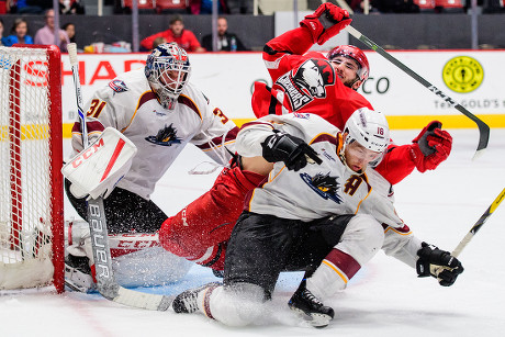 AHL Monsters vs Checkers, Charlotte, USA - 13 Jan 2017 Stock Pictures ...
