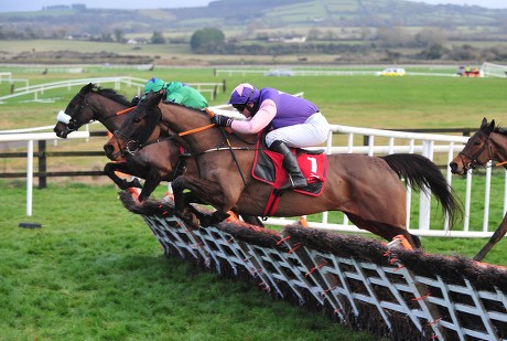 Punchestown Definite Ruby Katie Ofarrell Jump Editorial Stock Photo ...