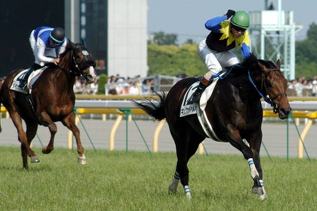 Japan Derbys Winner Horse Kingkamehemeha Jockey Editorial Stock Photo ...