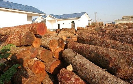 Cut Timber Logs Block Accomodation Chinese Editorial Stock Photo ...