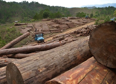 Loggers Work Loading Timber Logs Northeastern Editorial Stock Photo ...
