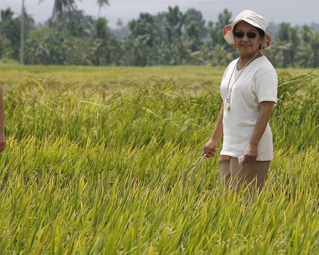Philippine President Gloria Macapagalarroyo Examines Hybrid Editorial ...