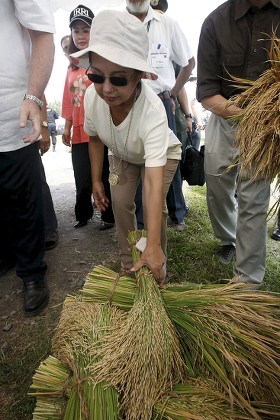Philippine President Gloria Macapagalarroyo Holds Bundle Editorial ...