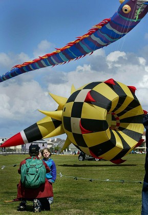 Kite Afficianado His Daughter Stand Front Editorial Stock Photo - Stock ...