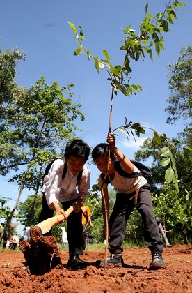 Indonesian Students Plant Tree Jakarta Indonesia Editorial Stock Photo ...