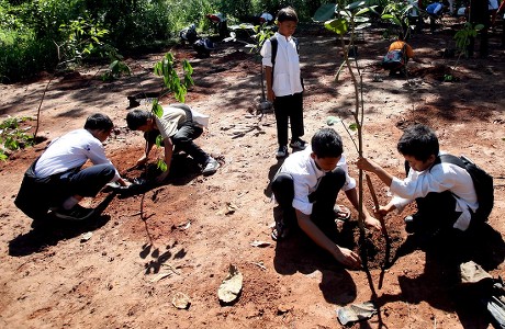 Indonesian Students Plant Trees Jakarta Indonesia Editorial Stock Photo ...