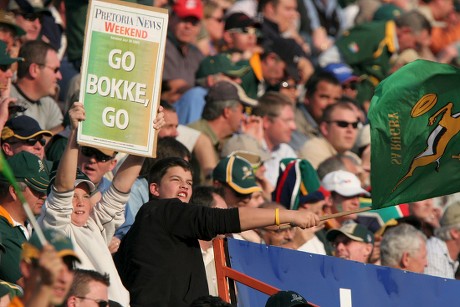 South African Fans Celebrate Springbok Victory Editorial Stock Photo ...