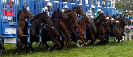 Horses Burst Gates Start Emirates Airline Editorial Stock Photo - Stock ...