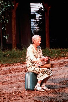 Fried Green Tomatoes Ninny Threadgoode Jessica Editorial Stock Photo ...